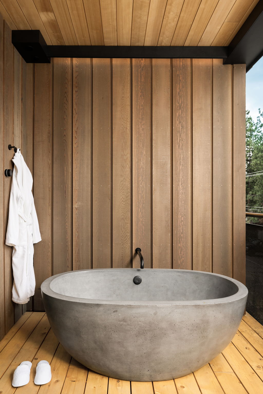 Alpine Studios | Desolation Hotel